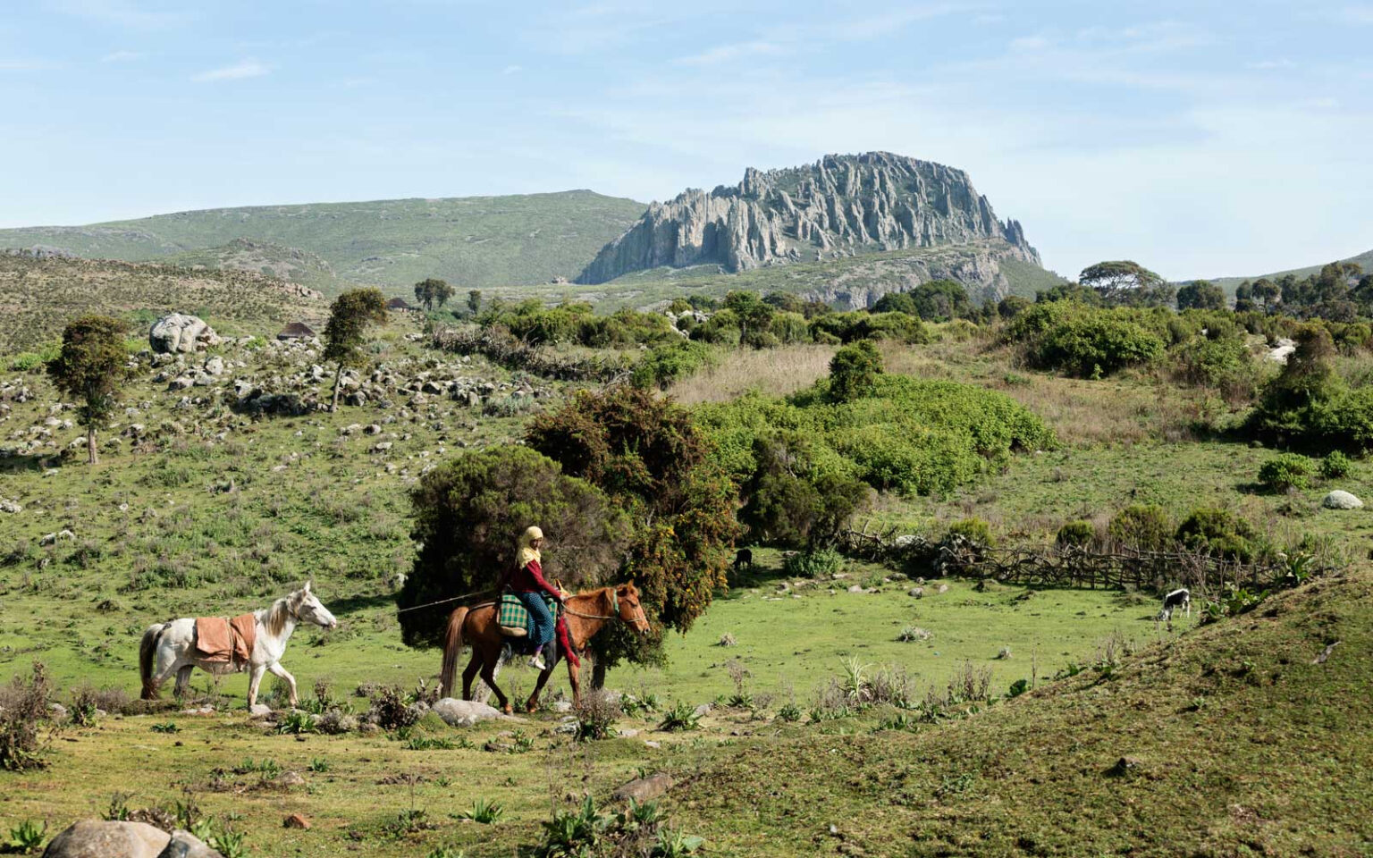 6 Days Bale Mountains National Park – Bale Trek Ethiopia Tours