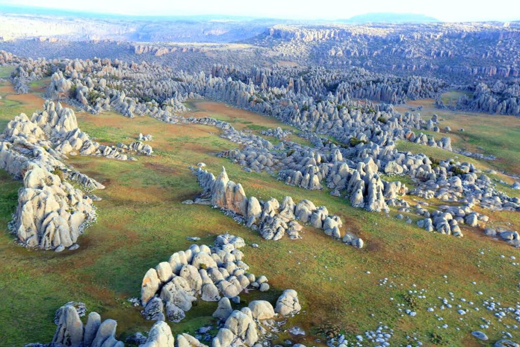 8 Days Trekking in Bale Mountain National Park – Bale Trek Ethiopia Tours